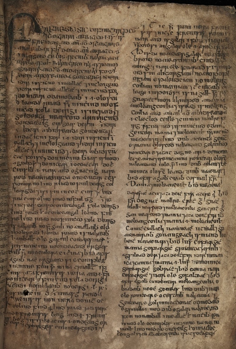 Lovesickness and Medieval Irish Medical Tradition – LEIGHEAS